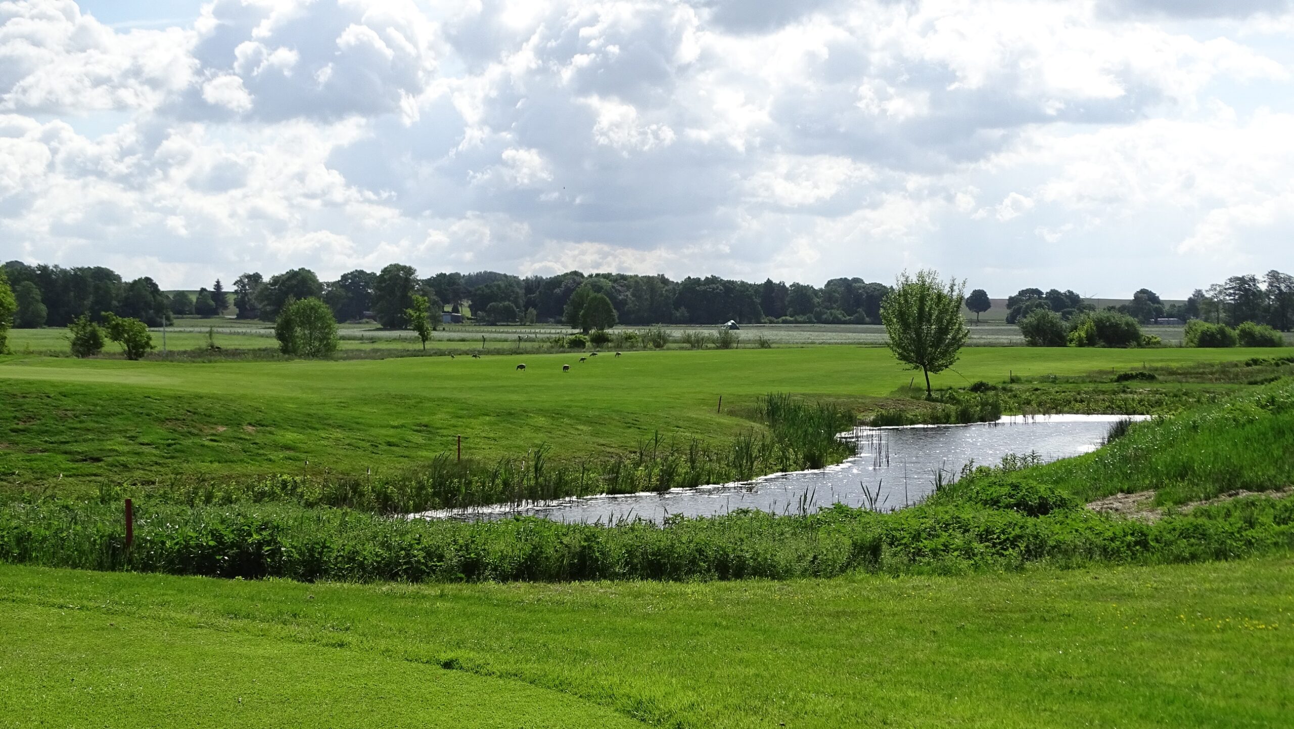 Tour 22: Starke Eichen, starke Golfer, alle Wetter - Golf Park am Deister
